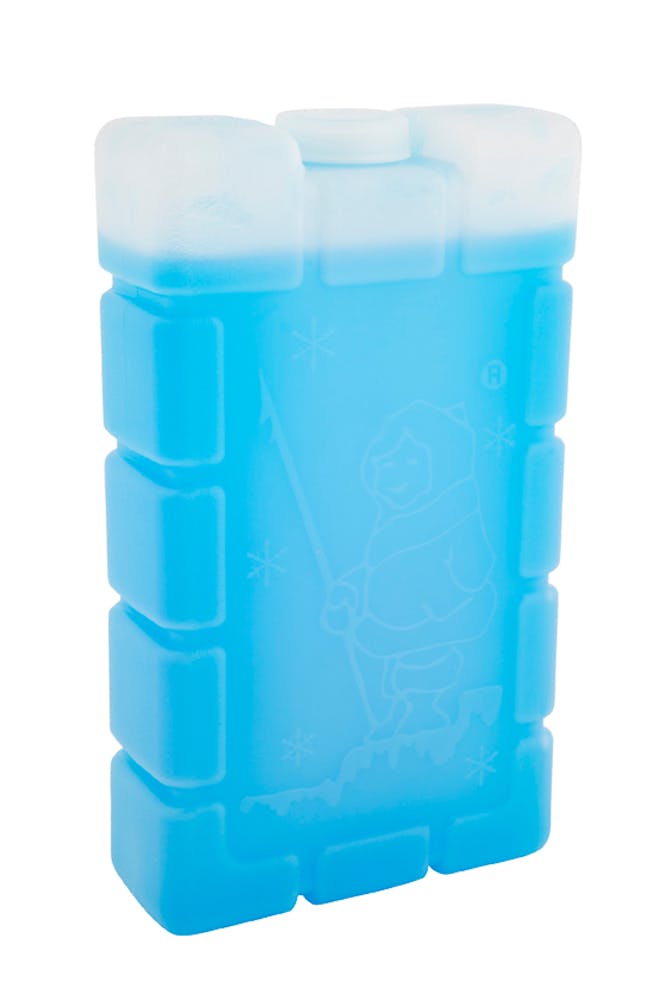 Esky Medium Ice Brick | Esky