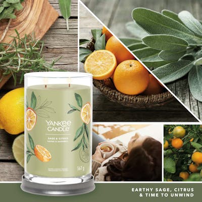 Citrus Candles - Citrus Scented Candles | Yankee Candle®