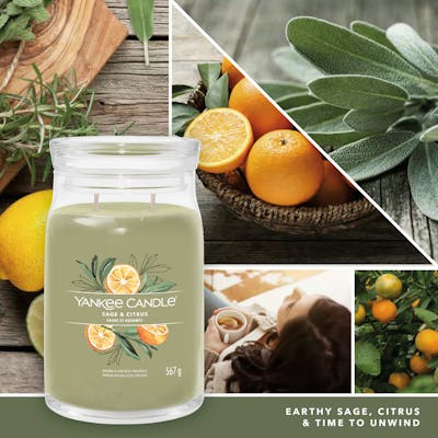 Citrus Candles - Citrus Scented Candles | Yankee Candle®